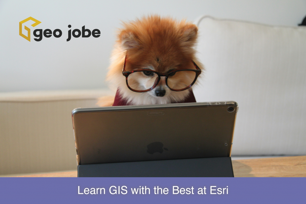 Learn GIS with the Best at Esri - GEO Jobe